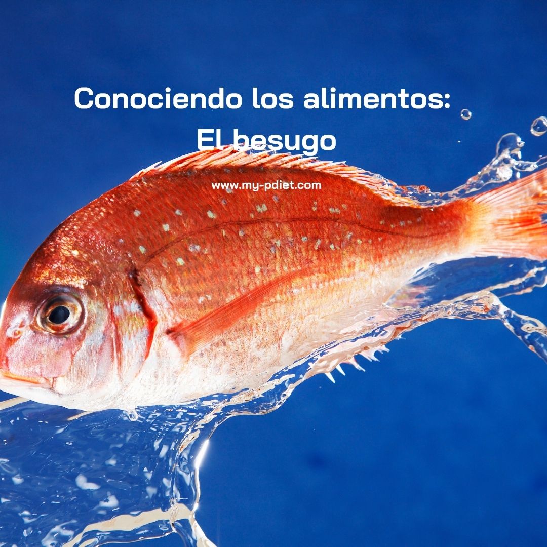 Conociendo los alimentos; El besugo - My-PDiet.com - Nutrición