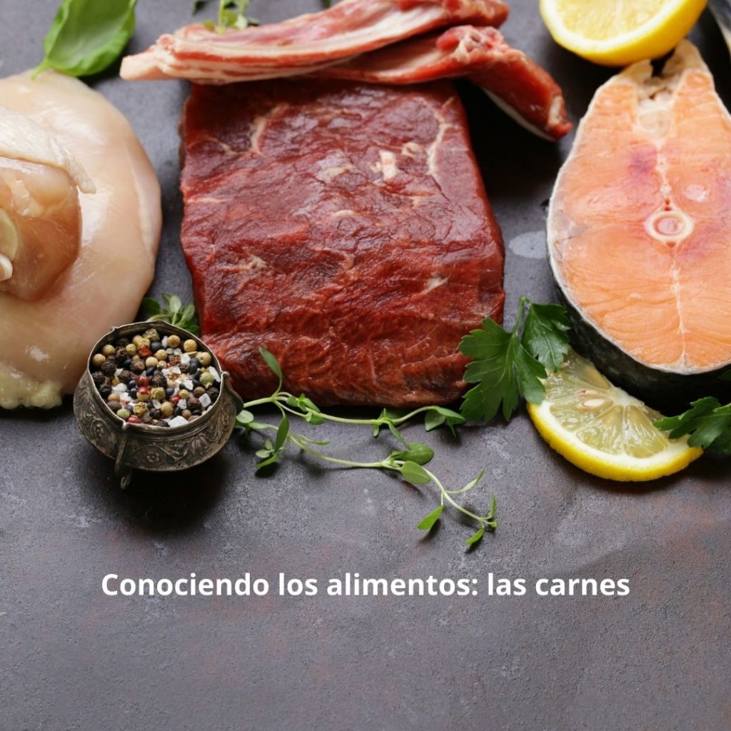 Conociendo los grupos de alimentos: Las carnes - My-PDiet.com - Nutrición