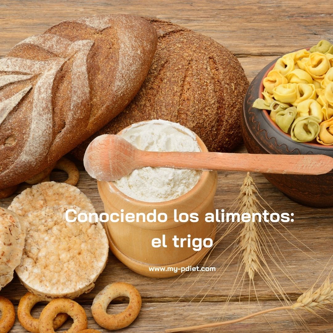 Conociendo los alimentos: el trigo - My-PDiet.com - Nutrición