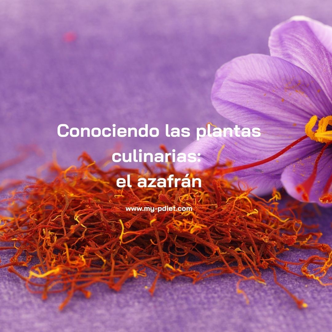 Conociendo las plantas culinarias: el azafrán - My-PDiet.com - Nutrición