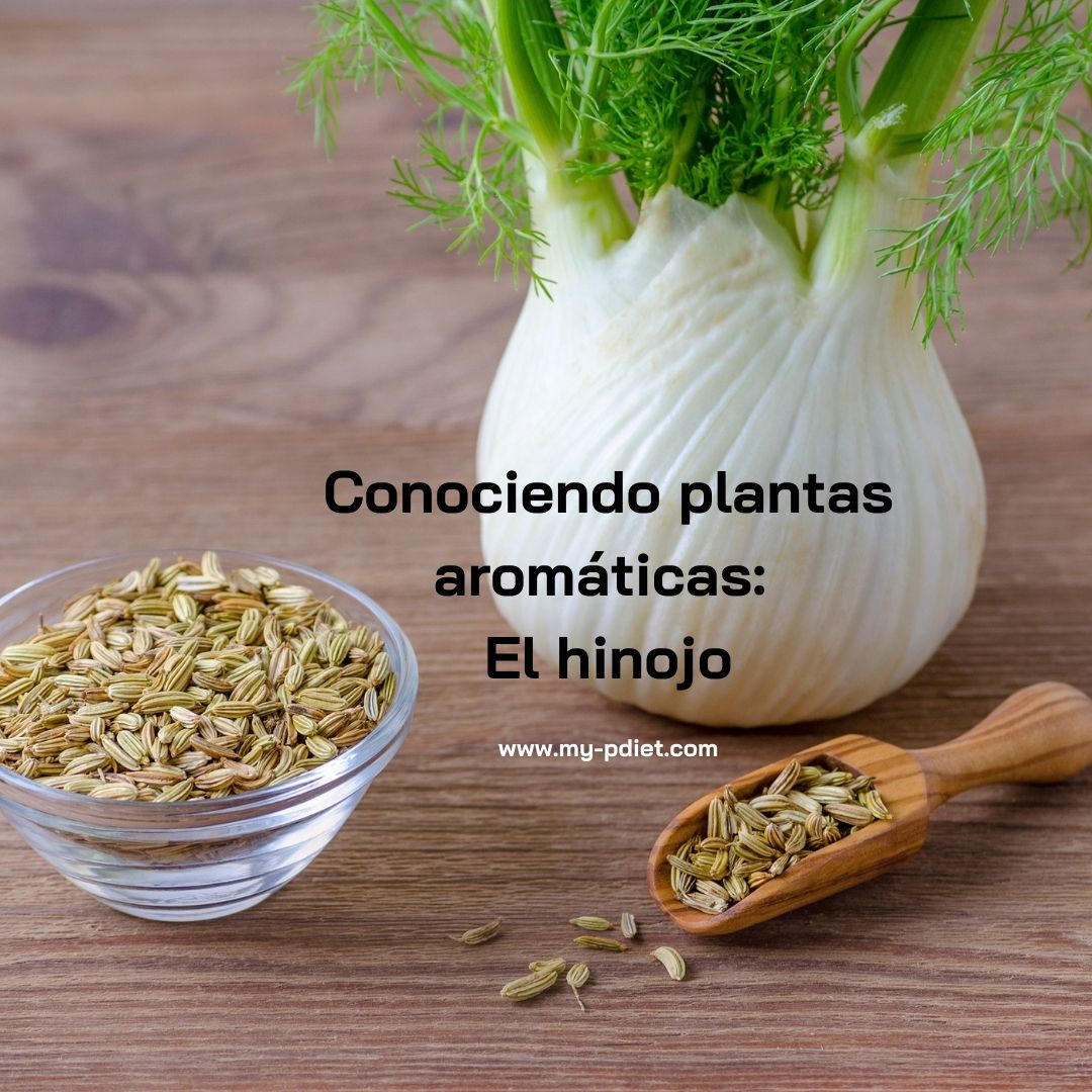 Conociendo plantas aromáticas: El hinojo - My-PDiet.com - Nutrición