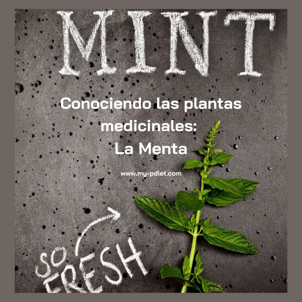 Conociendo las plantas medicinales: La Menta - My-PDiet.com - Nutrición