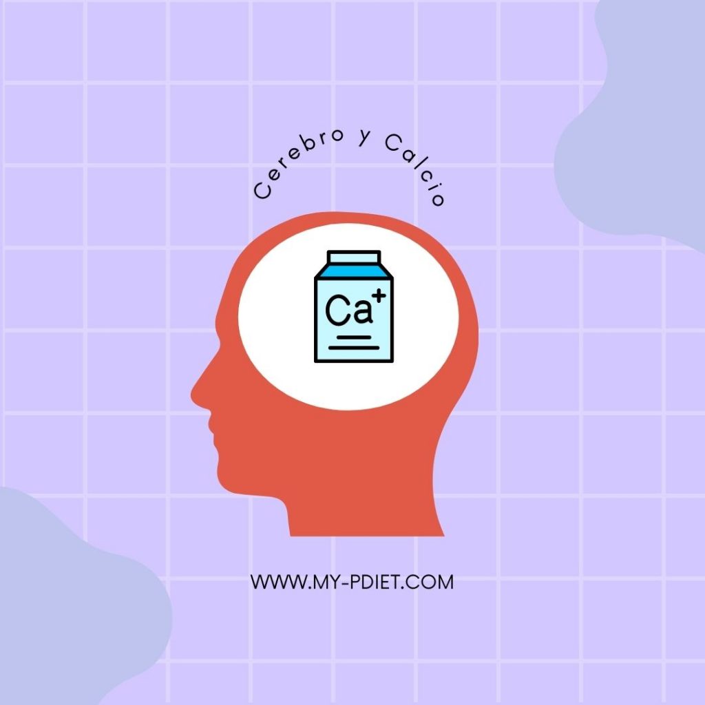 Una nueva función del calcio. - My-PDiet.com - Nutrición