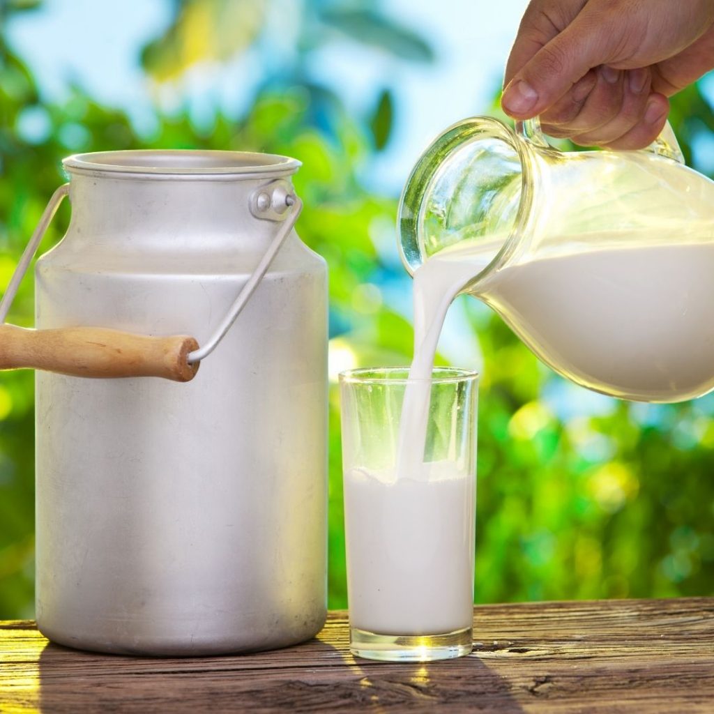 Conociendo los alimentos: la leche. - My-PDiet.com - Nutrición