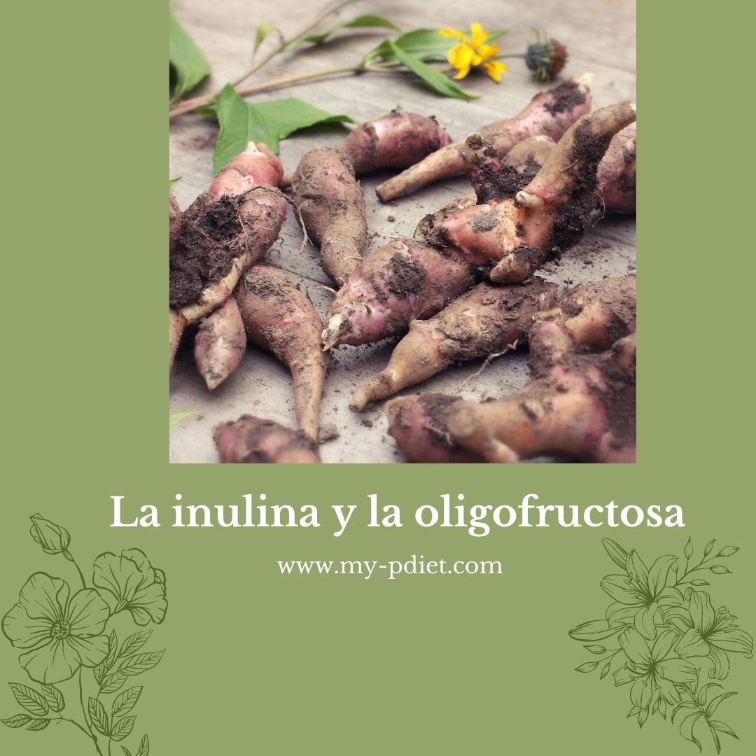 La inulina y la oligofructosa - My-PDiet.com - Nutrición