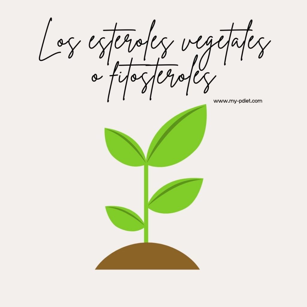 Los esteroles vegetales o fitosteroles - My-PDiet.com - Nutrición