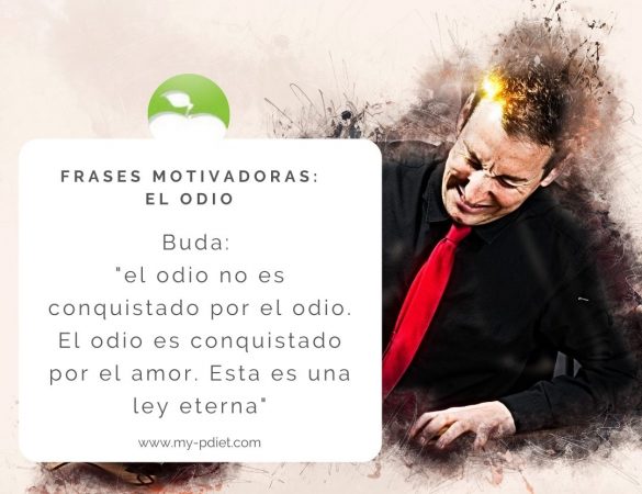 Frases motivadoras: la actitud - My-PDiet.com - Nutrición Frases motivadoras: la actitud - My-PDiet.com - Nutrición
