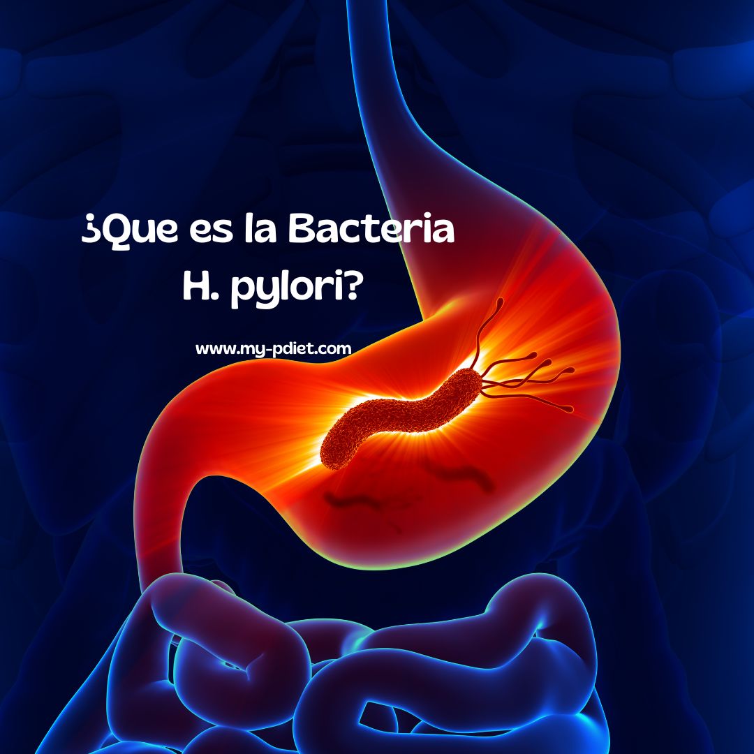 ¿Que es la Bacteria H. pylori? - My-PDiet.com - Nutrición