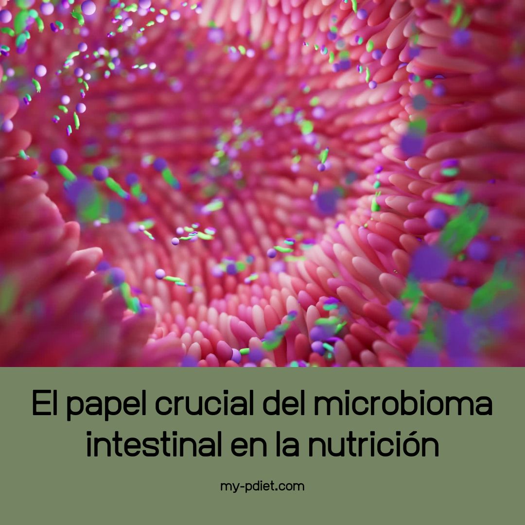 El papel crucial del microbioma intestinal en la nutrición - My-PDiet ... El papel crucial del microbioma intestinal en la nutrición - My-PDiet ...